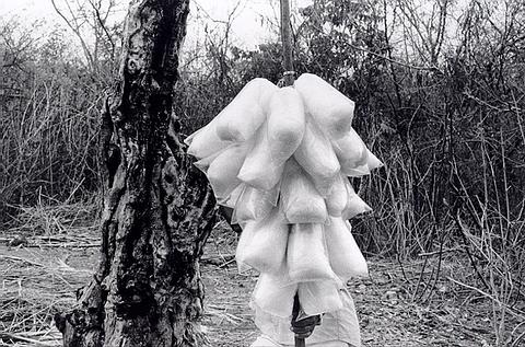 Quem Somos Nós | Enciclopédia Itaú Cultural